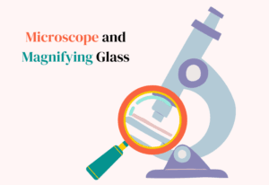 How Does Magnifying Glass Work to Look Things Bigger?